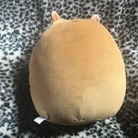 Kellytoy | Other | Lijjian Brown Capybar Squishmallow | Poshmark